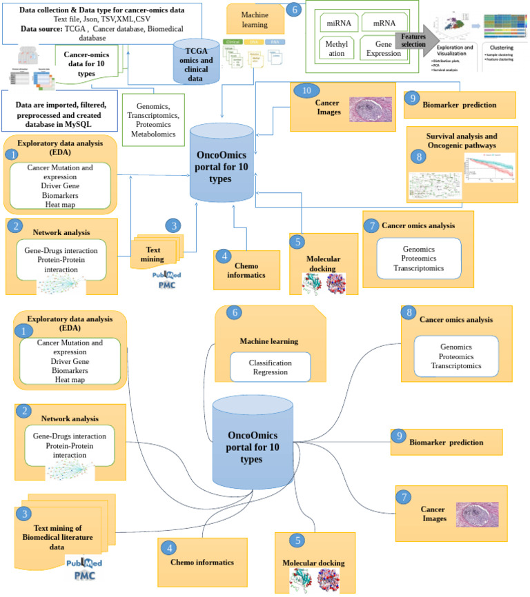 Canceromics Architecture | PDF | Gene Expression | Omics
