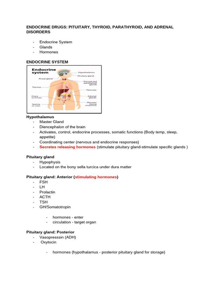 Endocrine Drug Overview | PDF | Adrenal Gland | Endocrine System
