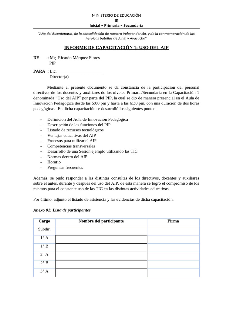 Informe de Capacitación 1 | PDF