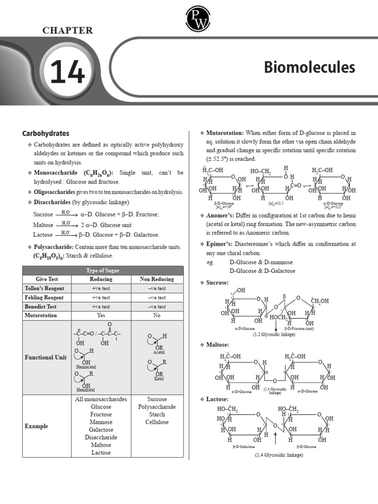 Biomolecules - Short Notes - VIJETA SERIES CLASS-12TH | PDF ...