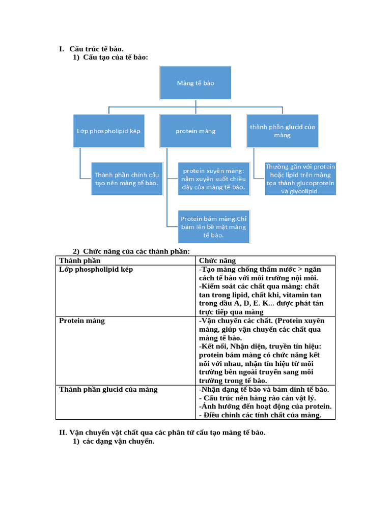 Qua Màng | PDF