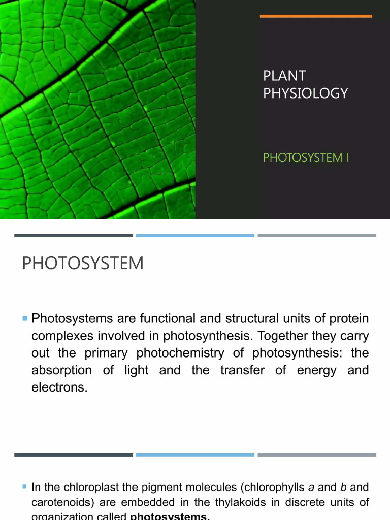 Photosystem(Plant biochem) | PDF