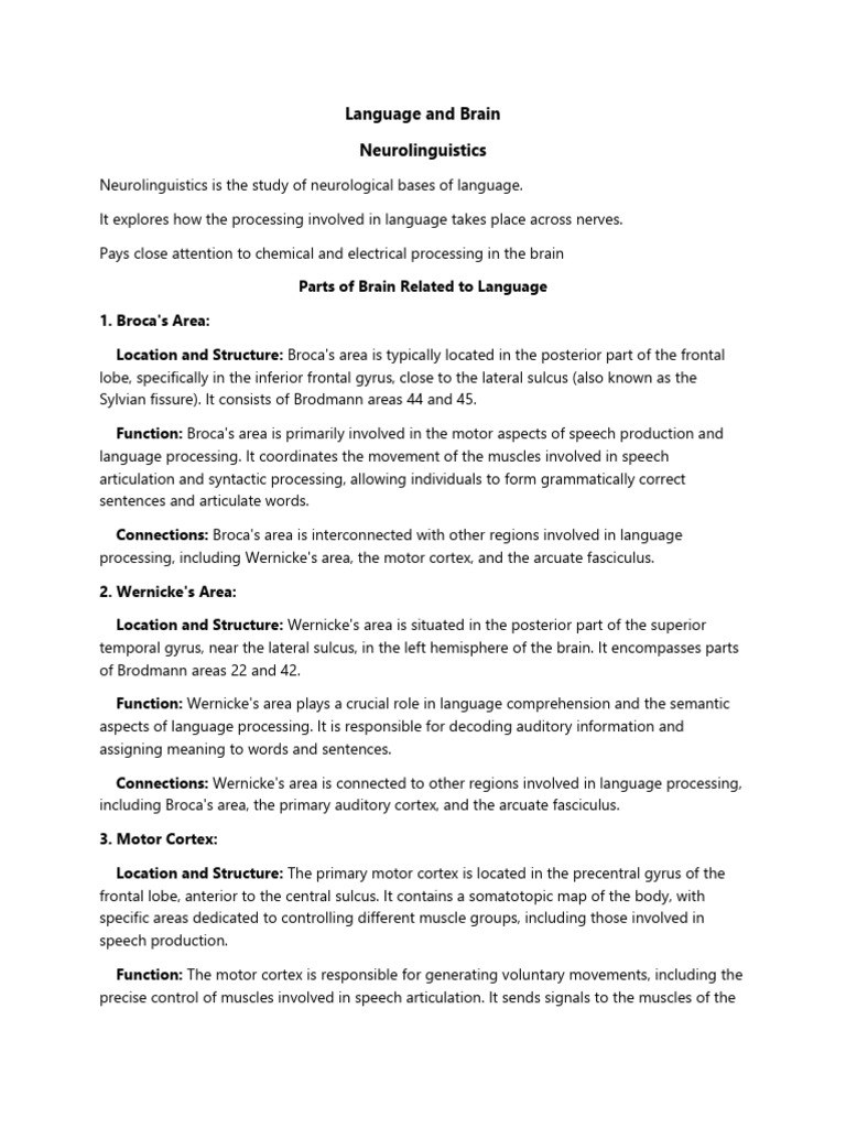 Language and Brain | PDF | Aphasia | Speech