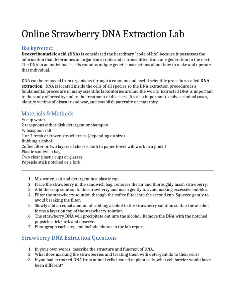Online Strawberry DNA Extraction Lab | PDF