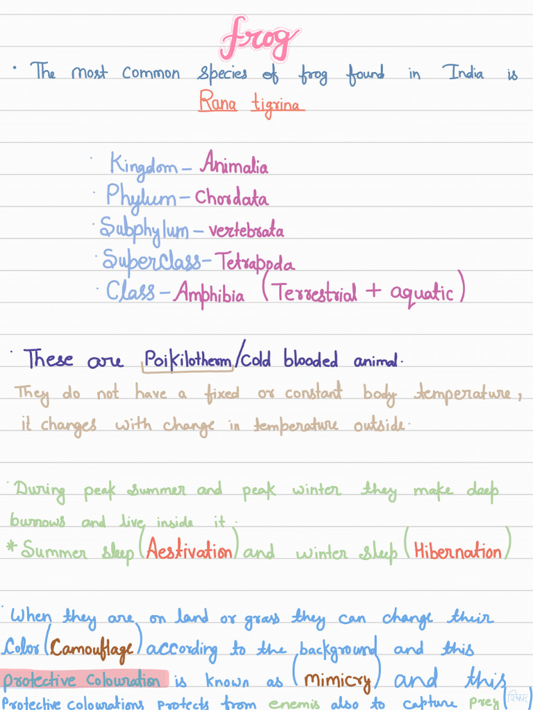 Frog Notes - 240611 - 153719 | PDF