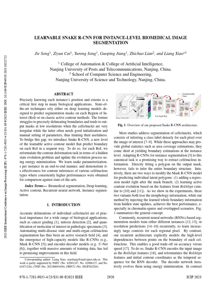 Learnable Snake R-CNN For Instance-Level Biomedical Image Segmentation | PDF | Image ...