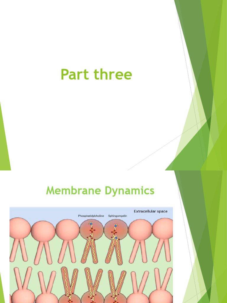 B2212-Chapter 2-Membrane Structure and Function Part 3 | PDF | Cell Membrane | Proteins