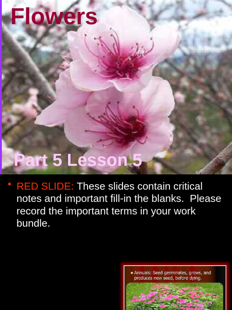 Part 5 Lesson 5 Flowers | PDF | Flowers | Plants