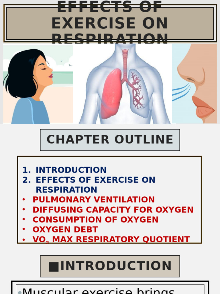 Effects of Exercise On Respiration | PDF | Breathing | Respiratory System