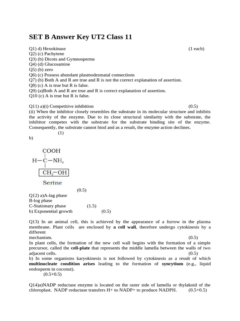 Class 11th Set B Answer key | PDF | Cell Biology | Biochemistry