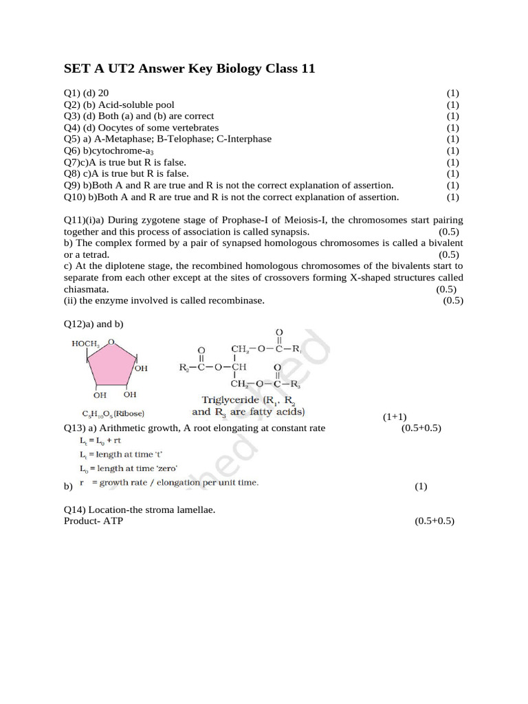 Class 11th UT2 Set A Answer Key | PDF | Cofactor (Biochemistry) | Enzyme
