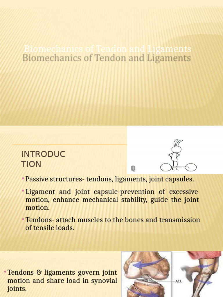 Biomecxhanics of Ligament and Tendon | PDF | Tendon | Collagen