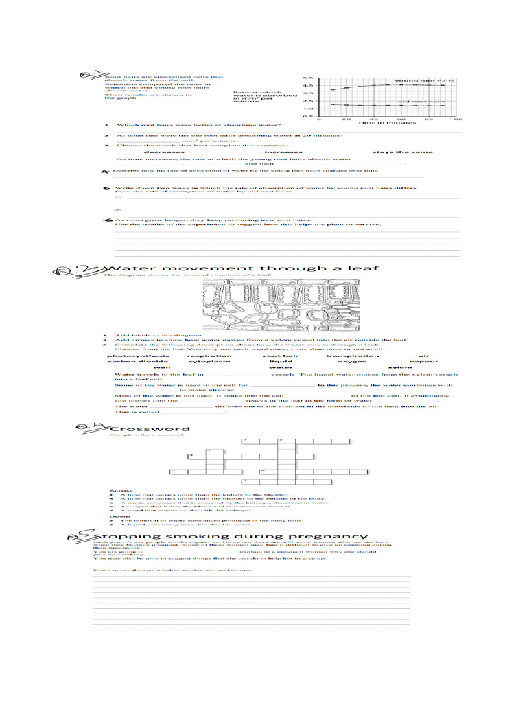 Lesson 4 Test QP | PDF