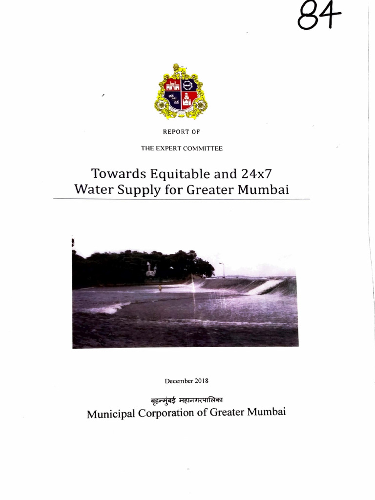 Expert Committee Report | PDF