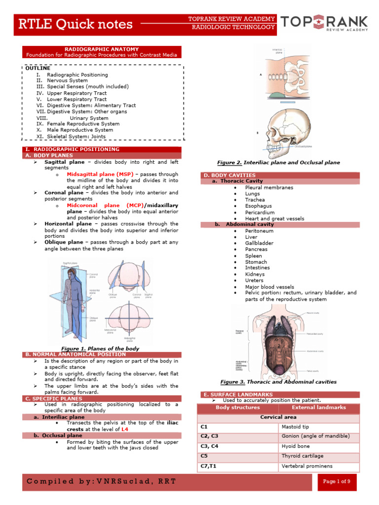 Radiographic Positioning Overview | PDF | Stomach | Large Intestine