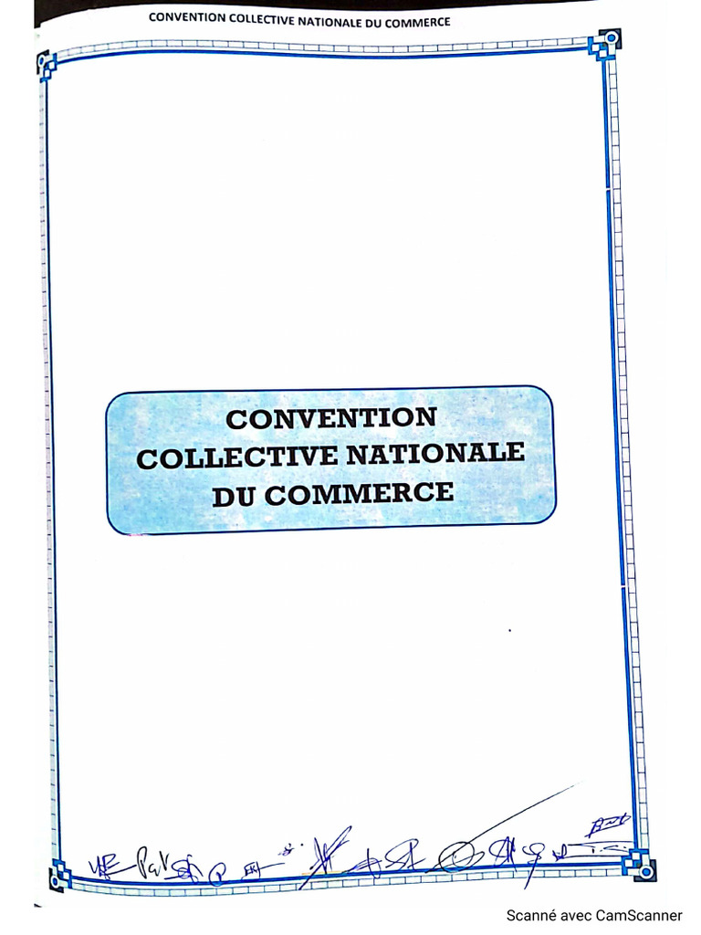 Convention Collective Du Commerce Du 16 Janvier 2024 | PDF