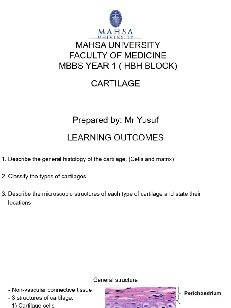 ANA L9- Cartilage 2 | PDF | Cartilage | Extracellular Matrix