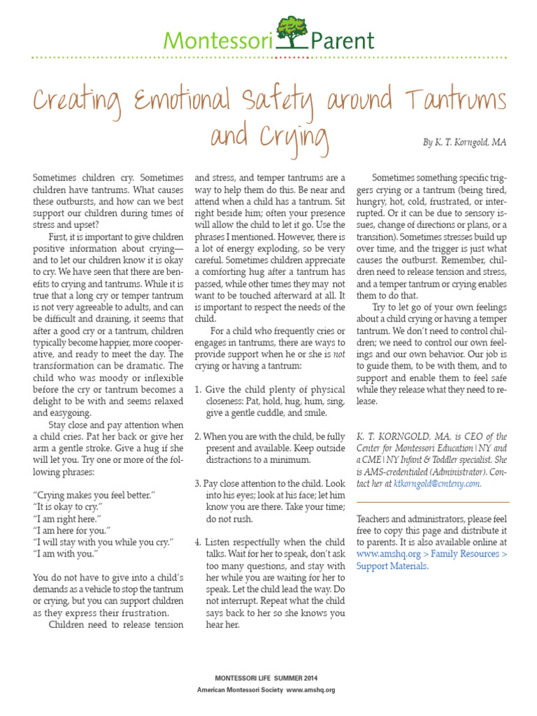 Supporting Children Through Tantrums | PDF | Human Life Stages | Behavioural Sciences