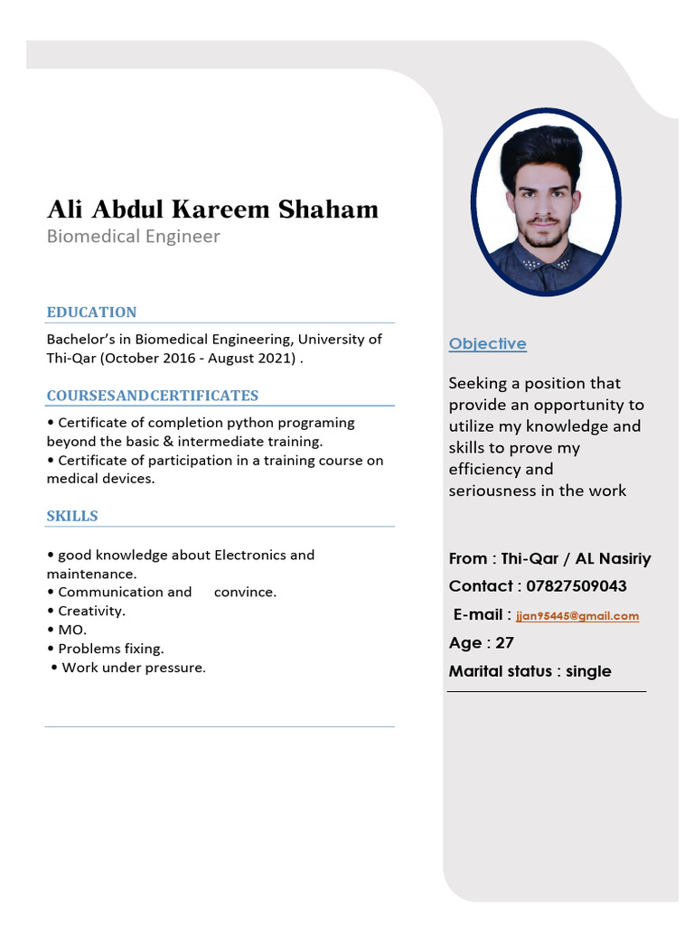 Ali Abdul Kareem CV | PDF