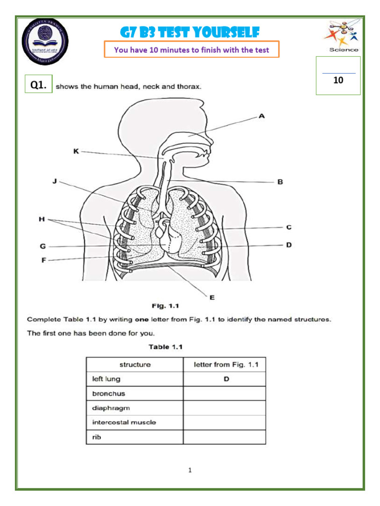 Science-Grade7-B3-W3-U5-WorkSheet1 - Extra - (Damietta) | PDF