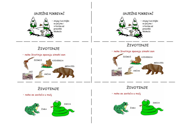 Biljke I Zivotinje Zimi | PDF