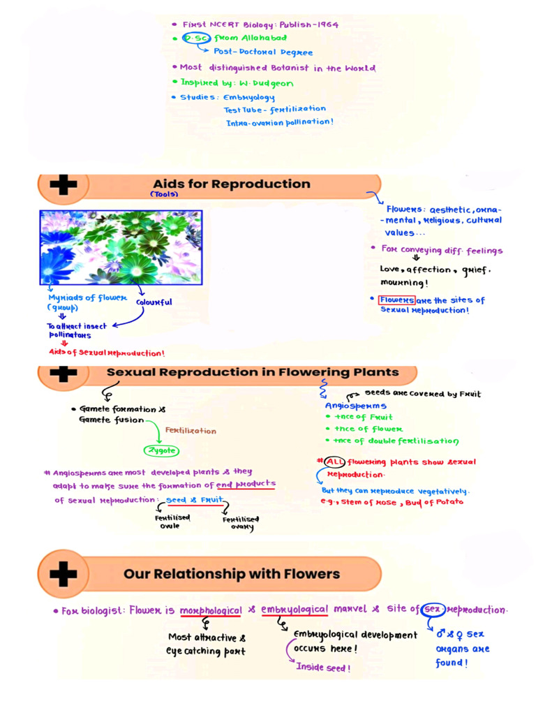 My Document | PDF