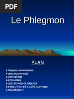 Phlegmon des gaines des tendons fléchisseurs | PDF | Main | Infection