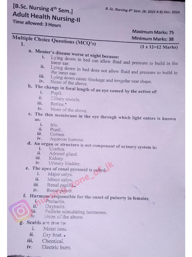 Ku MSN-2 Dec 2024 | PDF