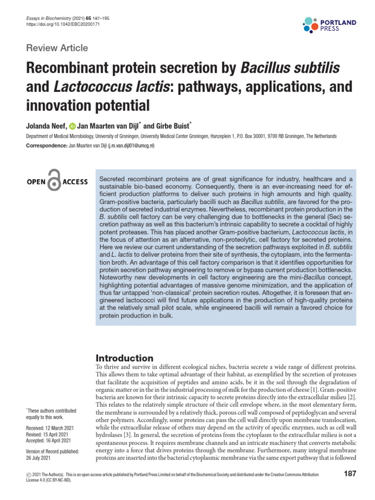 2021 Recombinant Protein Secretion by Bacillus Subtilis and Lactococcus Lactis | PDF | Protein ...