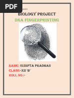 Dna Fingerprinting Investigatory Project 2024-25 Class-12 | PDF | Gel ...