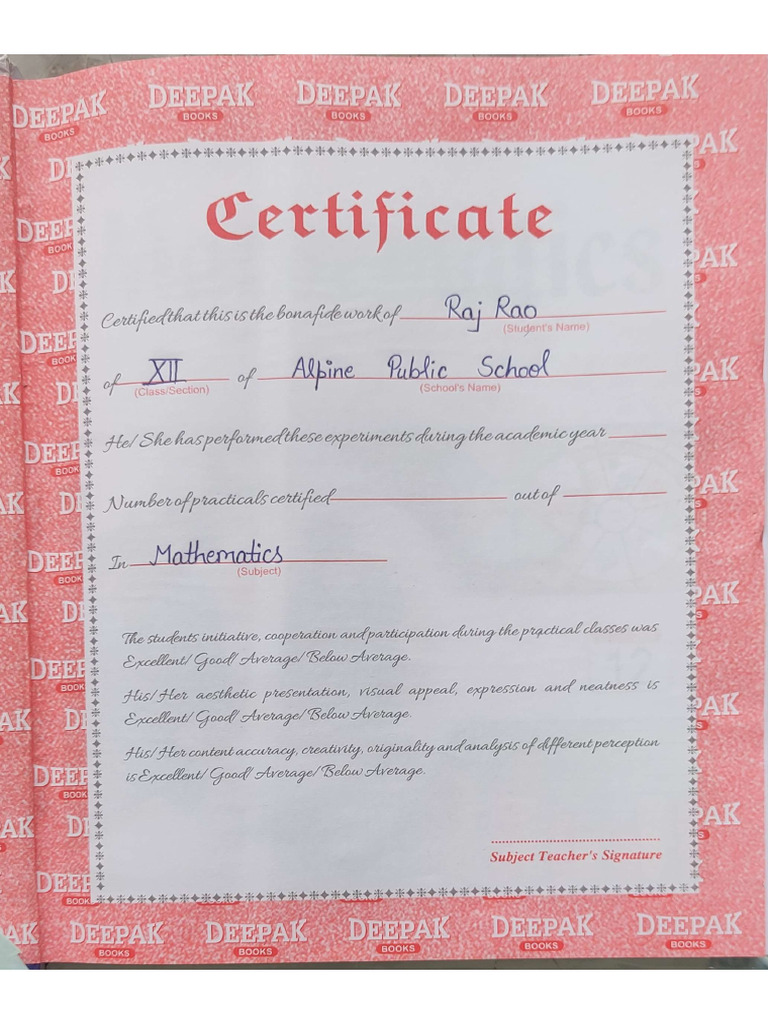 12 Maths Practical File | PDF