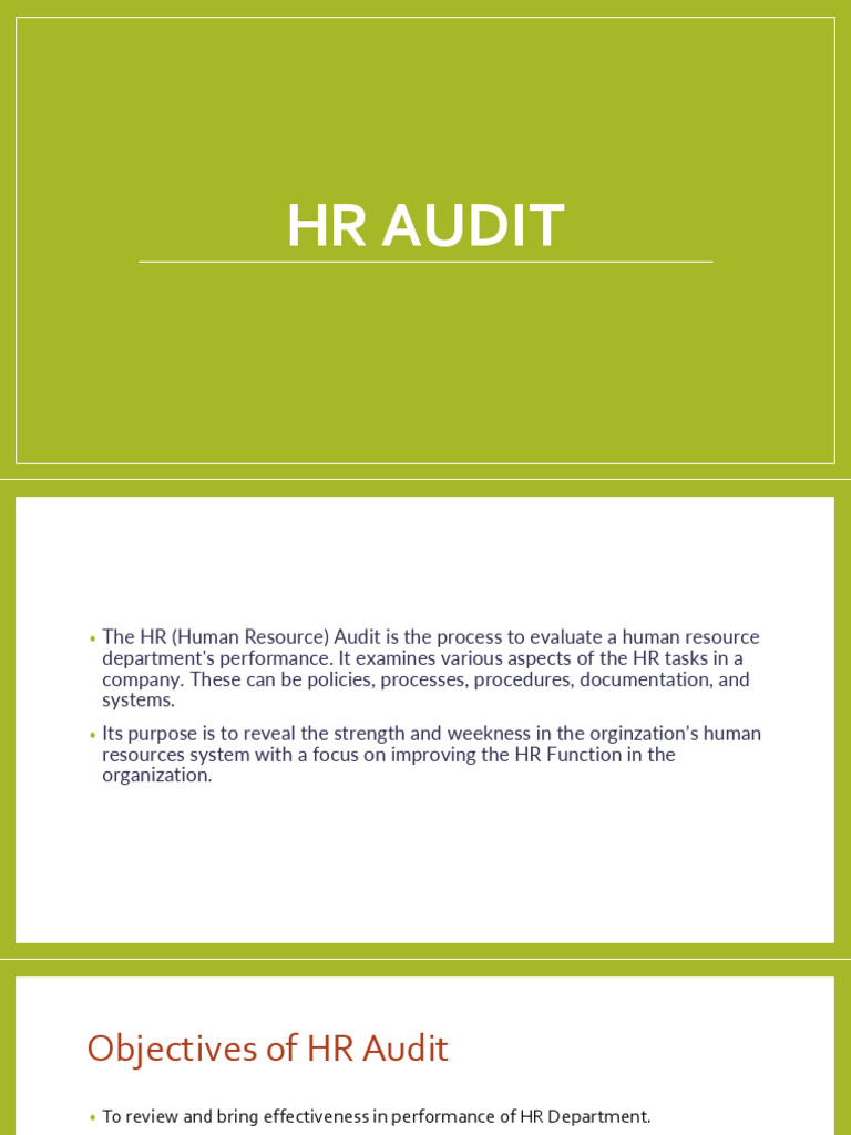 HR Audit | PDF