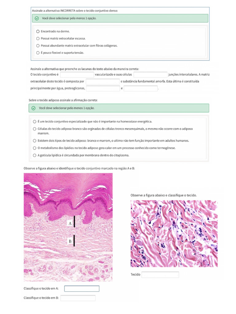 P2 Online UC2 - 108 | PDF