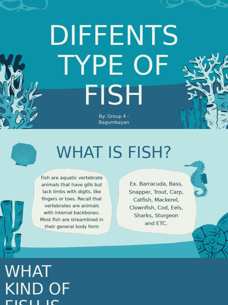 For Tve Types of Fish | PDF | Fish | Fish And Humans