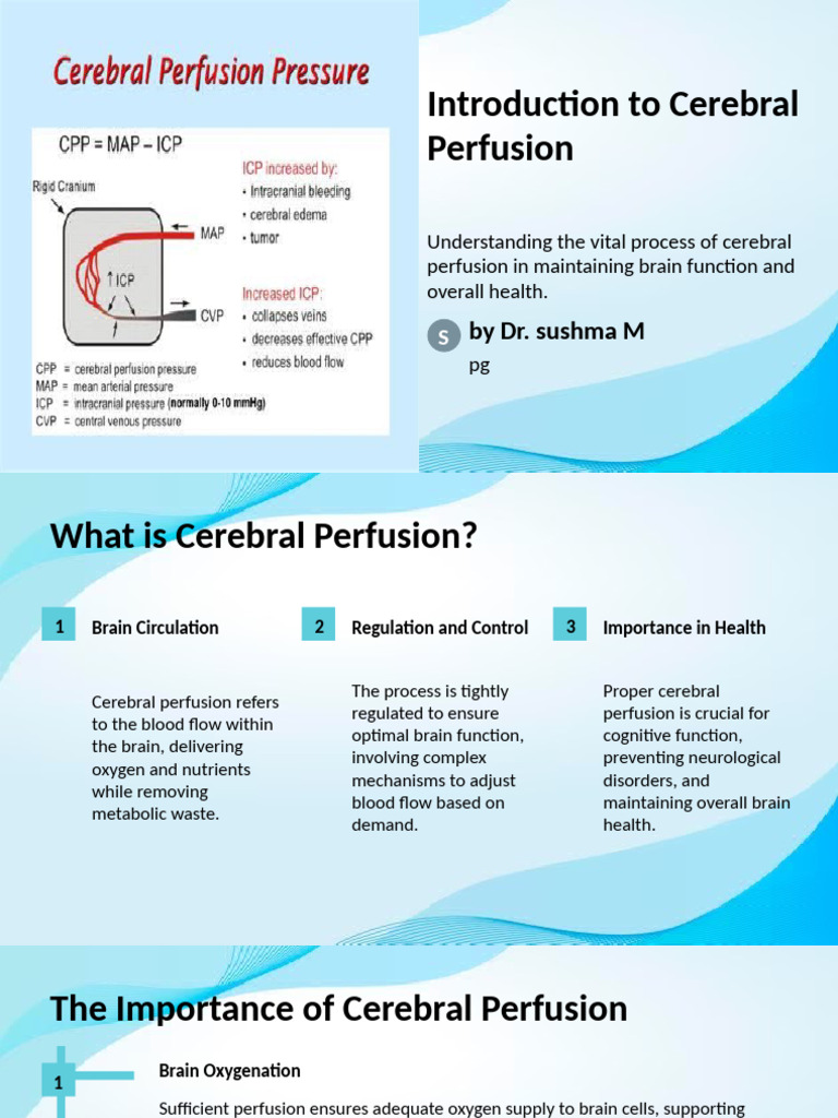 Cerebral Perfusion | PDF | Brain | Perfusion