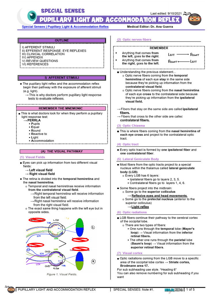 421 - Eyes-Ears-Nose-Throat Physiology) Pupillary Light & Accommodation ...