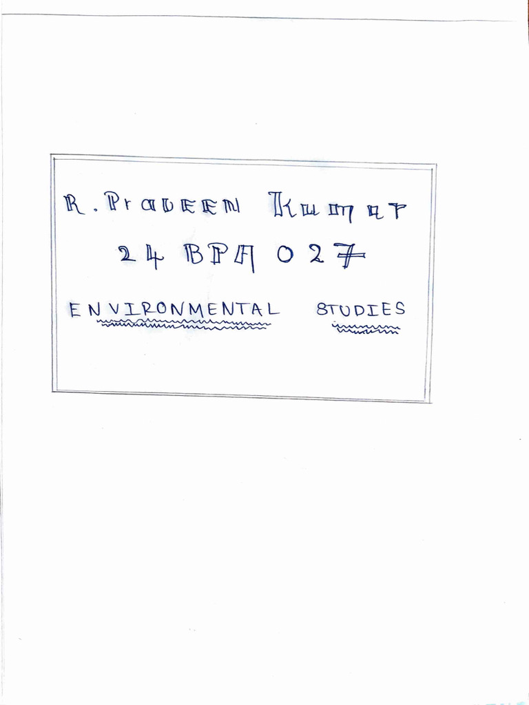 Praveen R EVS Assessment | PDF