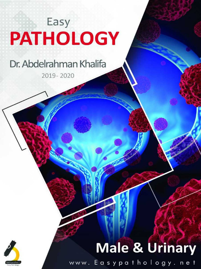 Easy Pathology (Male & Urinary) | PDF