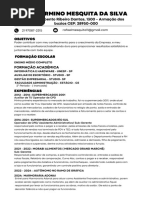 Currículo Marcelo Atualizado | PDF