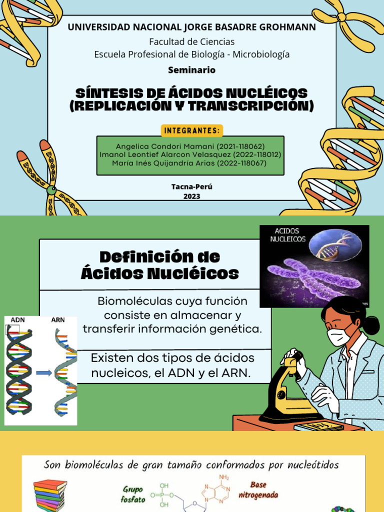 TEMA 11. SÍNTESIS DE ÁCIDOS NUCLÉICOS (REPLICACIÓN Y TRANSCRIPCIÓN ...