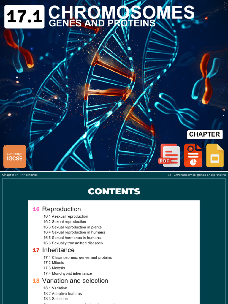 Chapter 17 Inheritance 1 | PDF