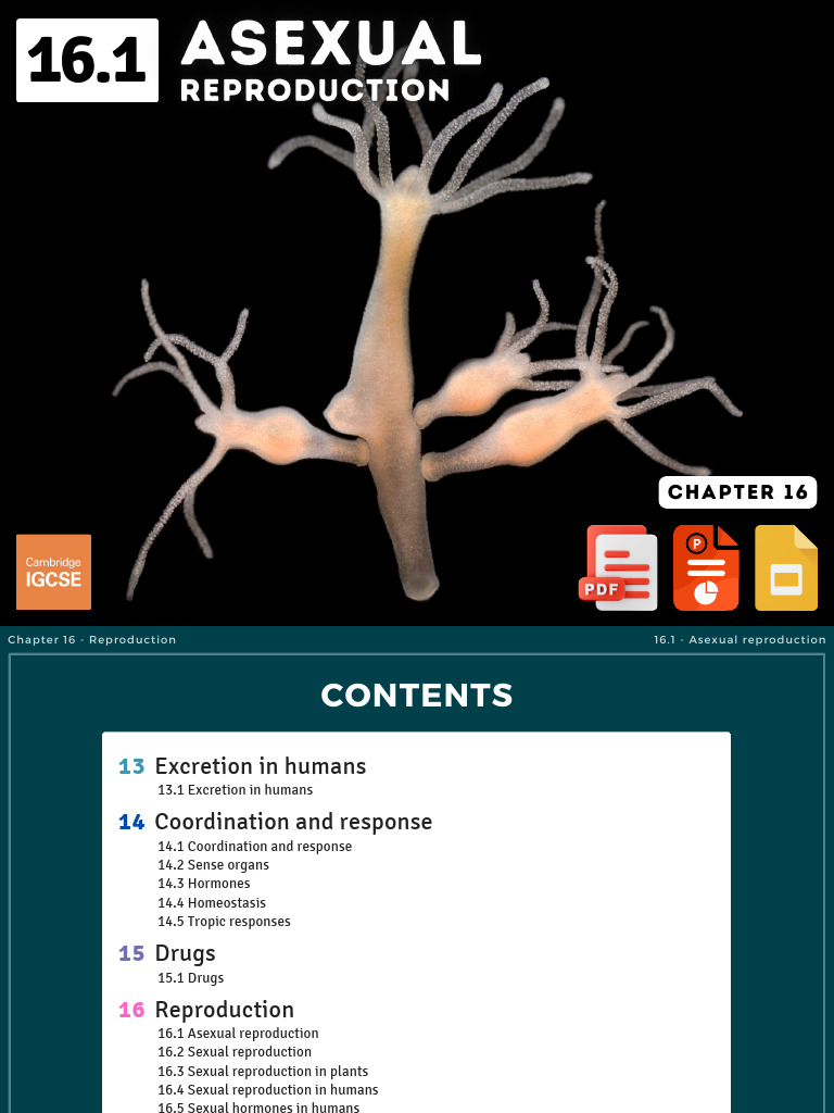 Chapter 16 | PDF | Sexual Reproduction | Flowers