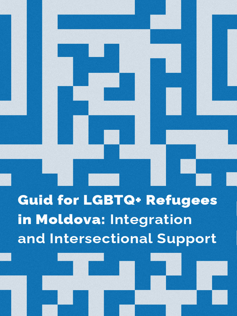 GUIDE eng | PDF | Asylum Seeker | Refugee