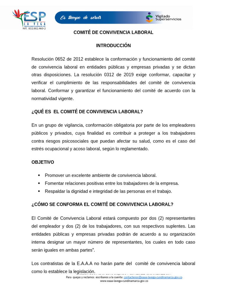 COMITE DE CONVIVENCIA LABORAL | PDF | Derecho laboral