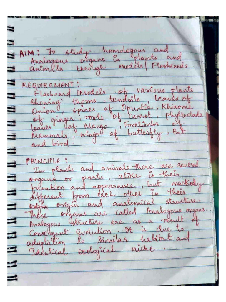 Practical No.10 | PDF