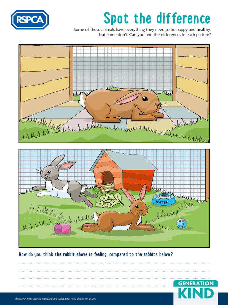 Spot The Difference Rabbit | PDF