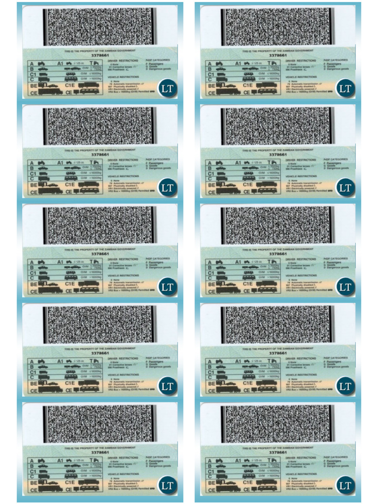 FEMALE ZAMBIA BACKSIDE | PDF