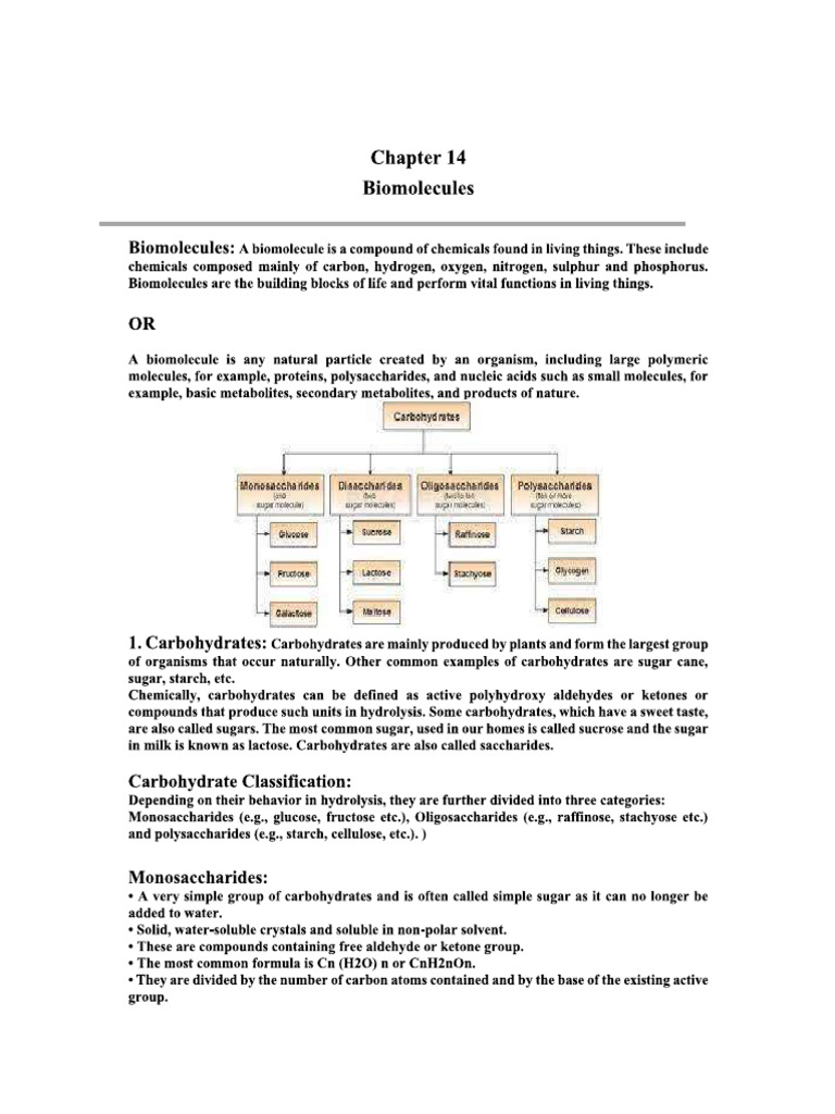 Selfstudys Com File | PDF