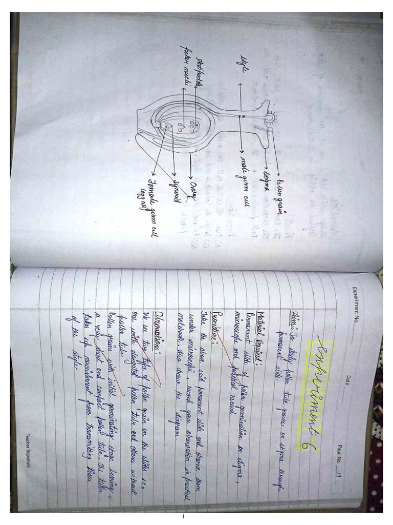 Experiment 6th To 9th | PDF