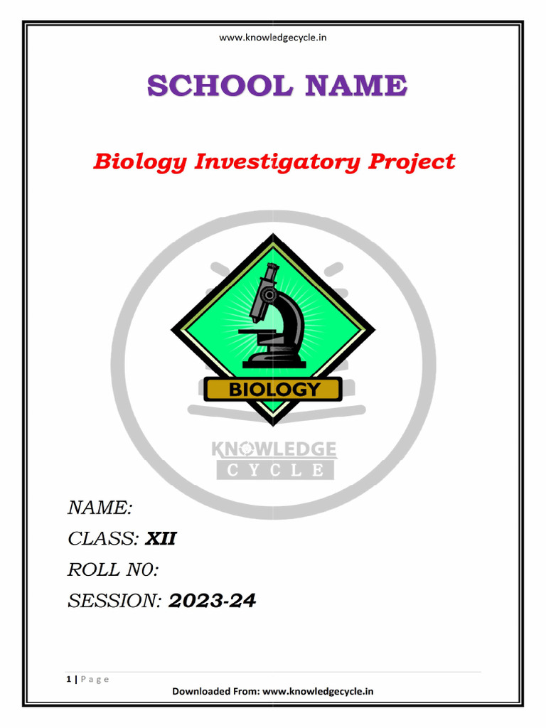 Drug Addiction (P) | PDF